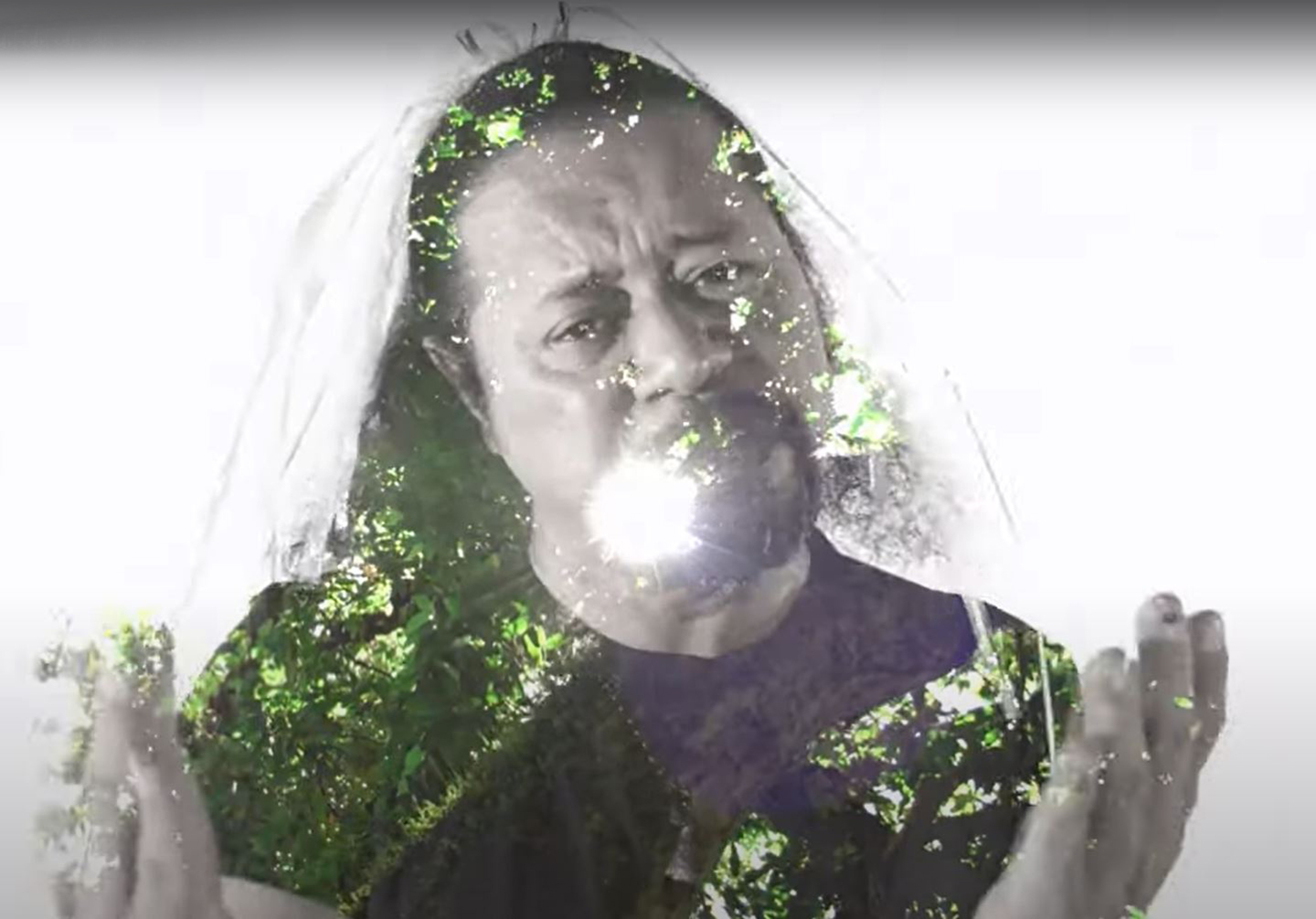 Manahune - Hani Hani - Mangrove